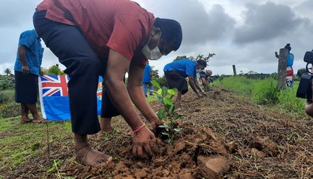 Fiji Government - MINISTRY PLANTS FRUIT TREES TO COMMEMORATE FIJI DAY